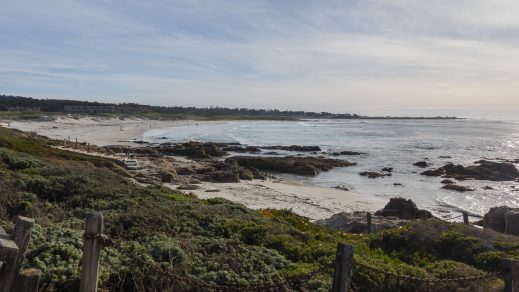17 Mile Drive - Complete Scenic Drive Itinerary - The Planet D