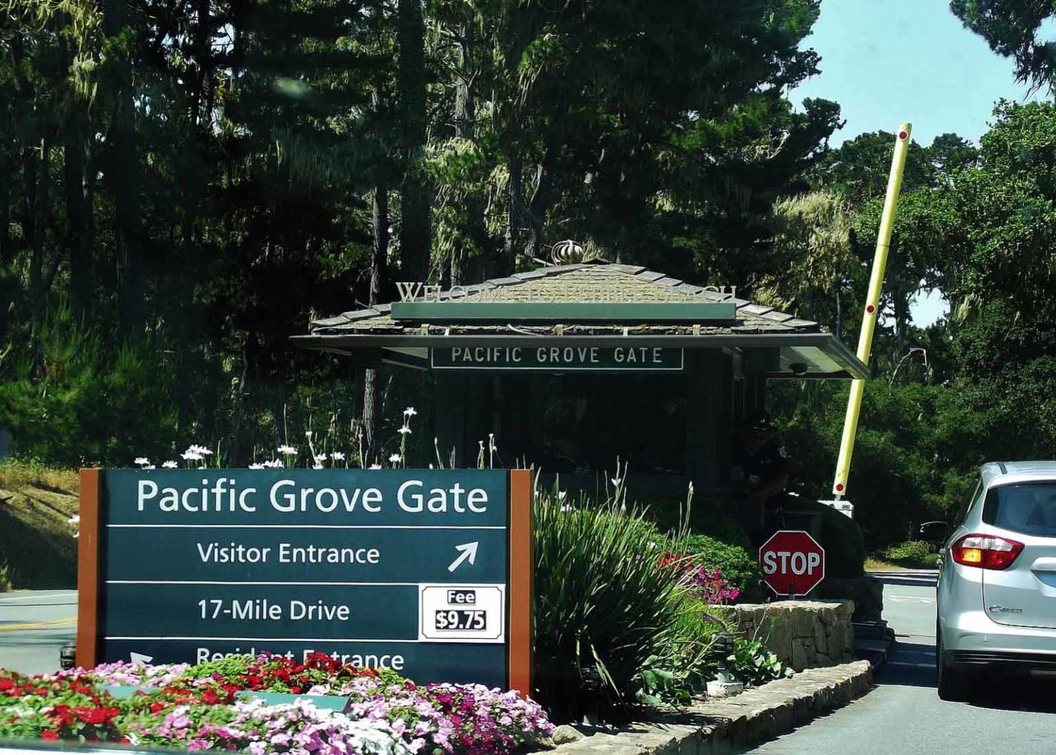 17 Mile Drive - Complete Scenic Drive Itinerary - The Planet D