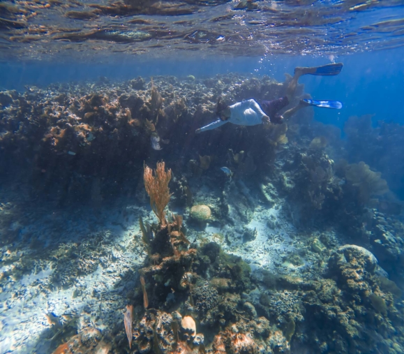 The Perfect One Week in Belize Itinerary: Jungle And Island Adventures ...