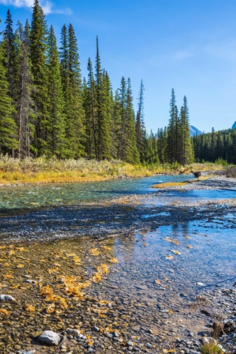 16 Best Banff Hikes To Discover in 2024 - The Planet D