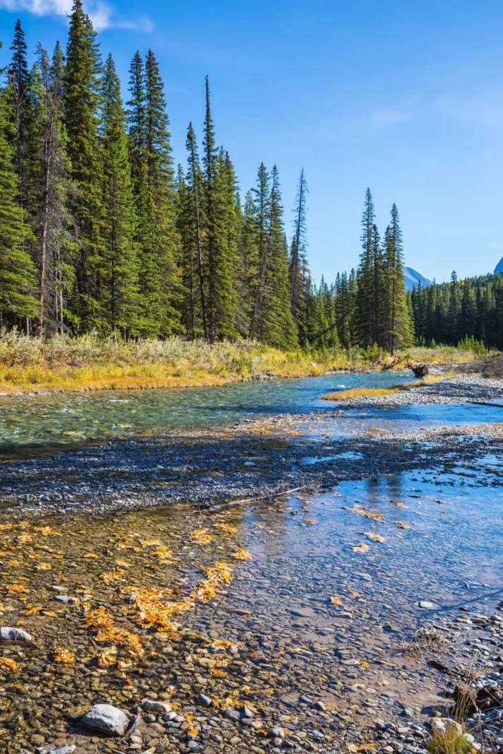16 Best Banff Hikes To Discover in 2024 - The Planet D