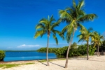 7 Best Beaches in Key Largo - Private And Public - The Planet D