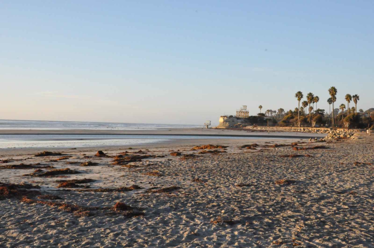 24 Best Beaches in San Diego In 2024 - The Planet D