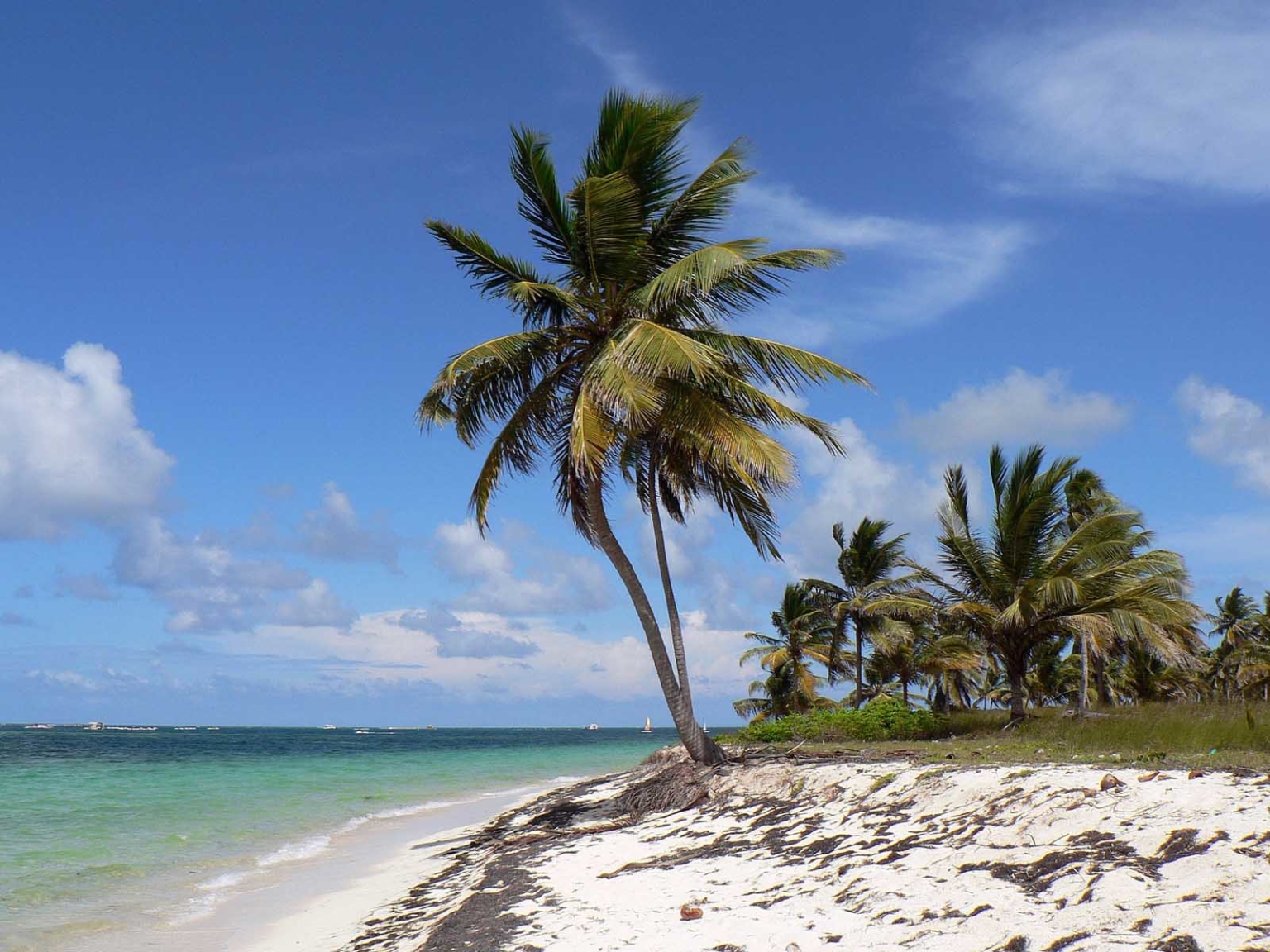 22 Best Beaches in The Dominican Republic: Ultimate Guide for Sun ...