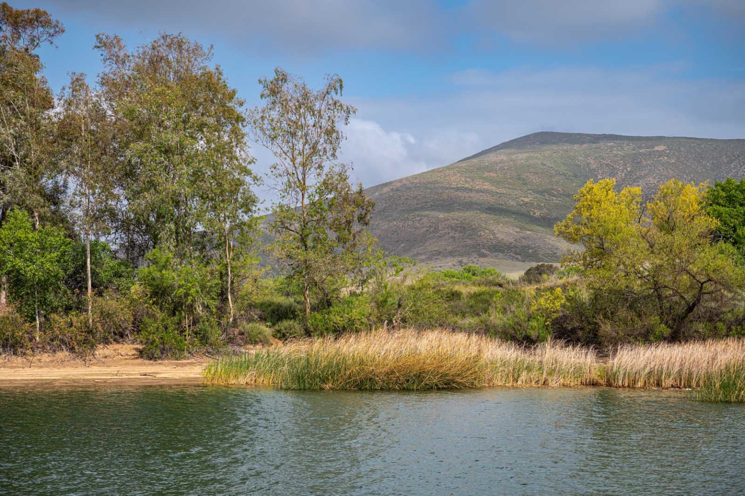 23 Best Day Trips From San Diego You Don't Want to Miss - The Planet D