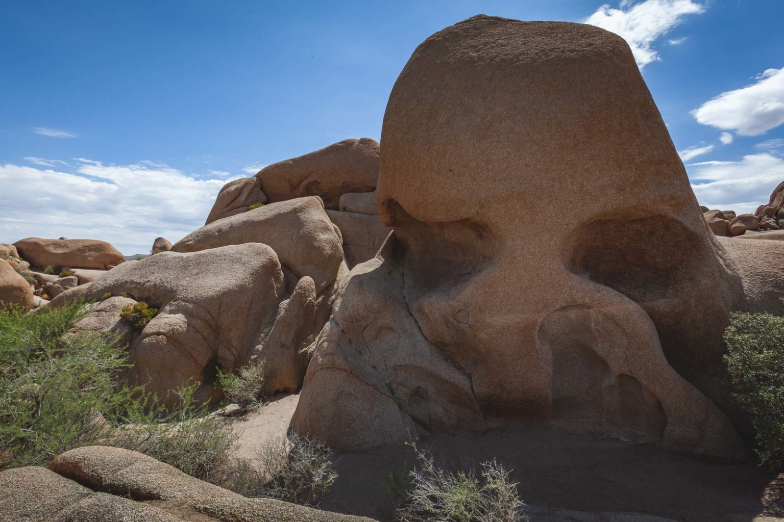 11 Best Hikes in Joshua Tree National Park | The Planet D
