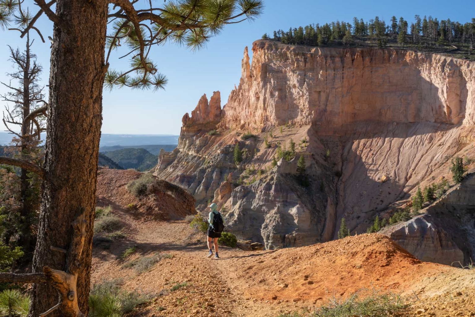 11 Best Hikes in Bryce Canyon National Park in 2024 - The Planet D