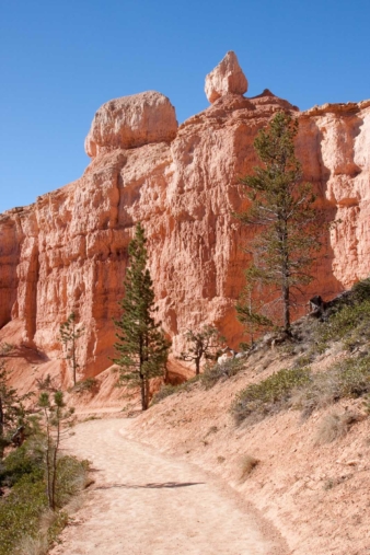 11 Best Hikes in Bryce Canyon National Park in 2024 - The Planet D