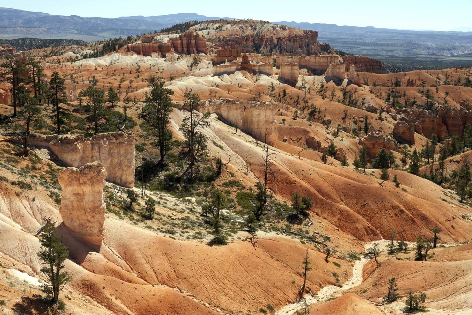 11 Best Hikes in Bryce Canyon National Park in 2024 - The Planet D