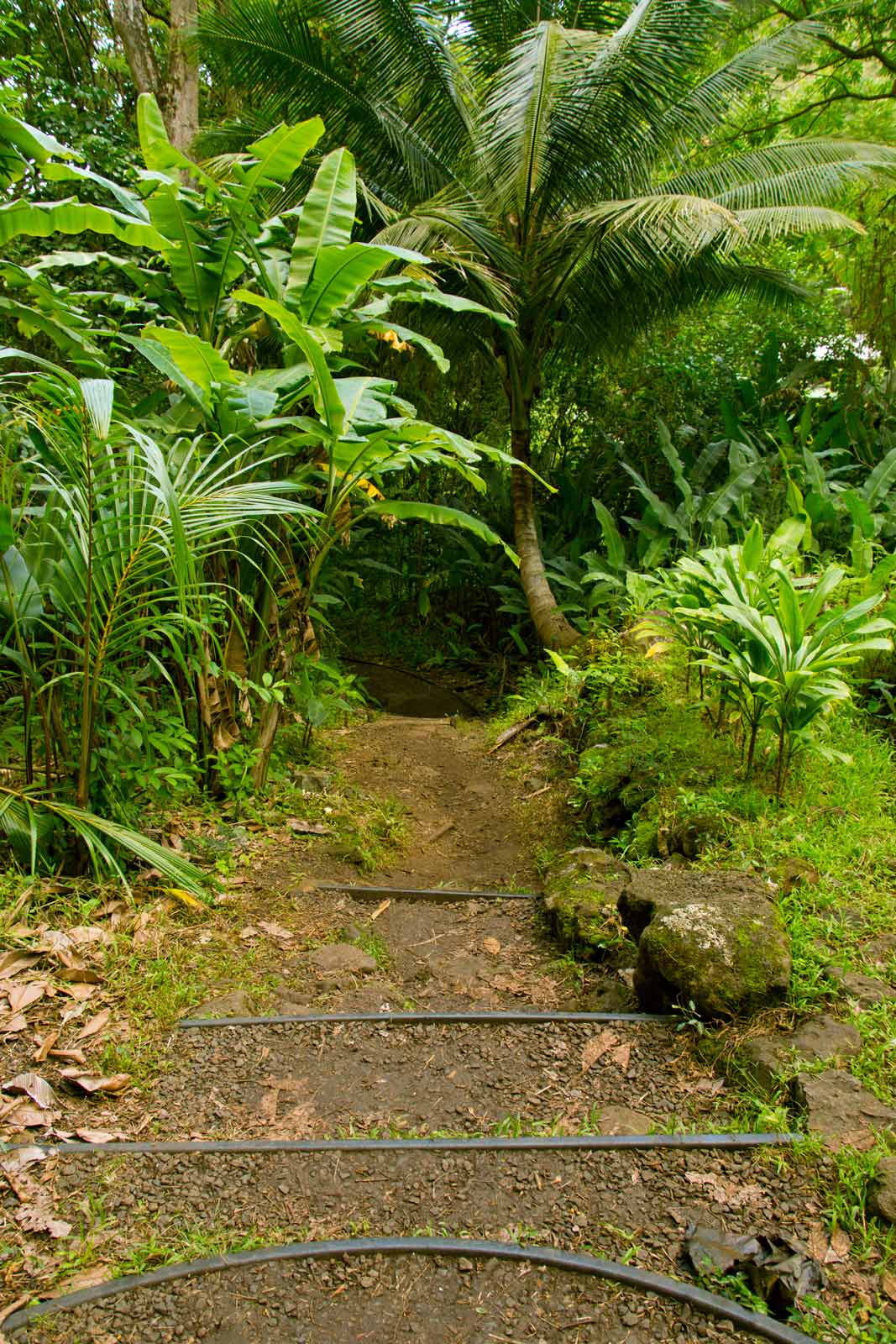 17 Best Hikes in Oahu Hawaii in 2024 - The Planet D