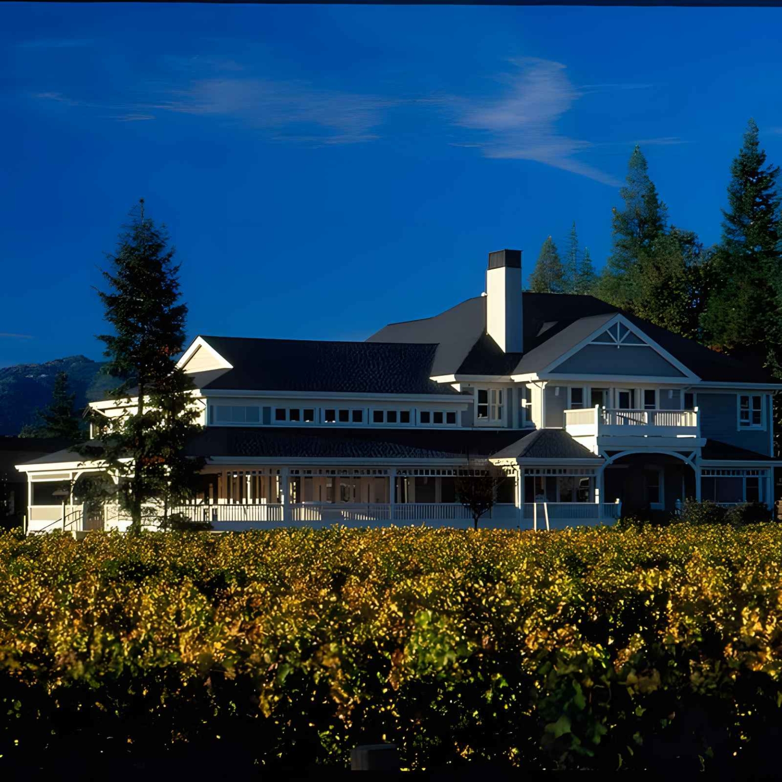 The 17 Best Napa Valley Wineries to Visit in 2024 - The Planet D