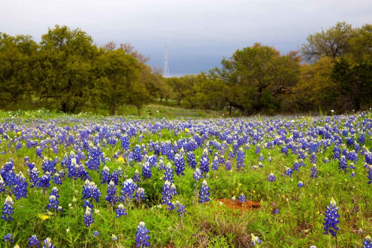 27 Best Places to Visit in March USA (2025) - The Planet D