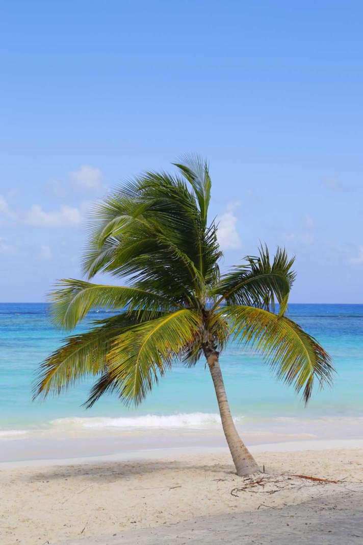 Best Places to Stay in Puerto Rico In 2023 - Traveling Tour Guides ...