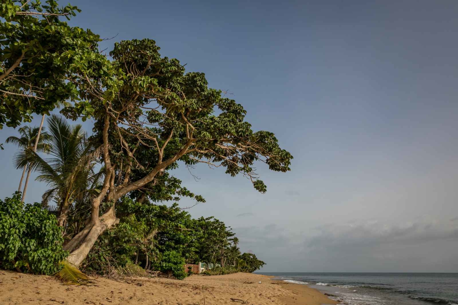 30 Best Puerto Rico Beaches To Visit in 2024 - The Planet D