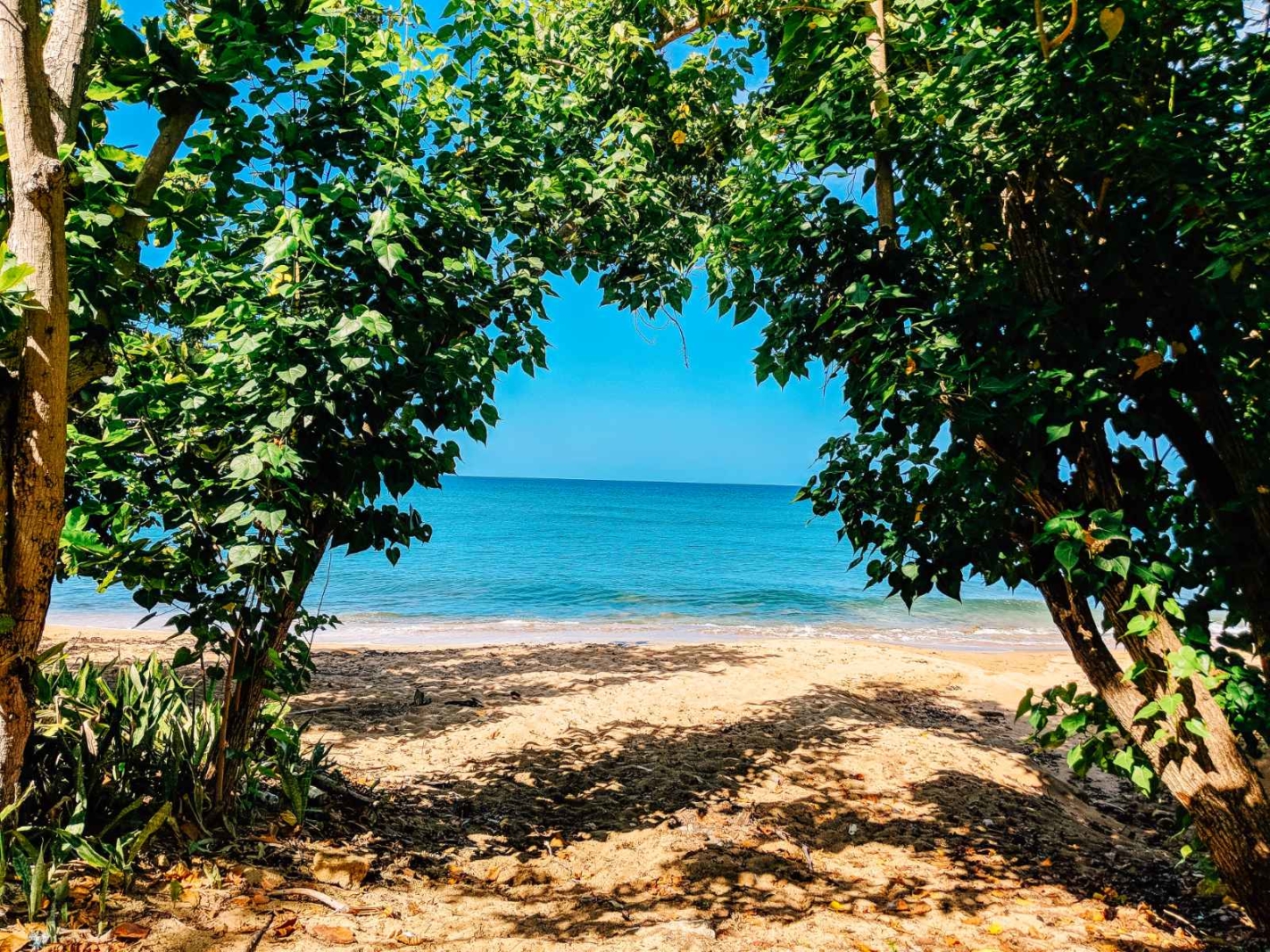 30 Best Puerto Rico Beaches To Visit in 2024 - The Planet D