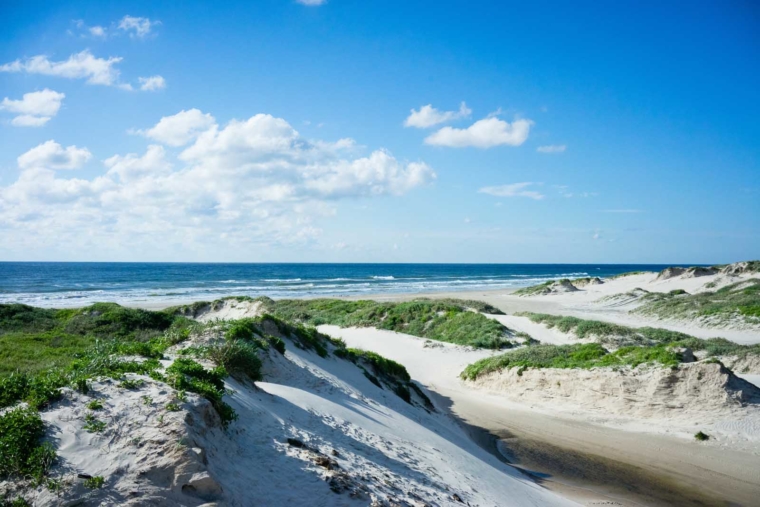 16 Best Beaches in Texas to Visit in 2024 - The Planet D