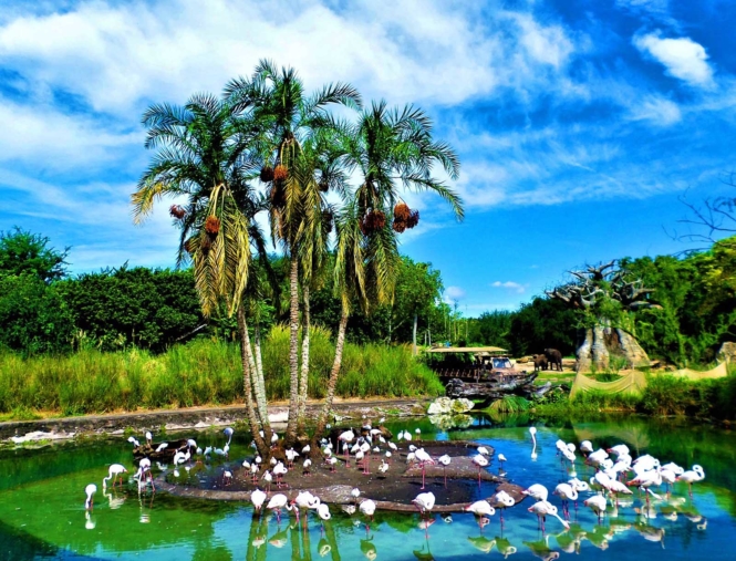 11 Best Theme Parks in Florida To Visit in 2024 - The Planet D