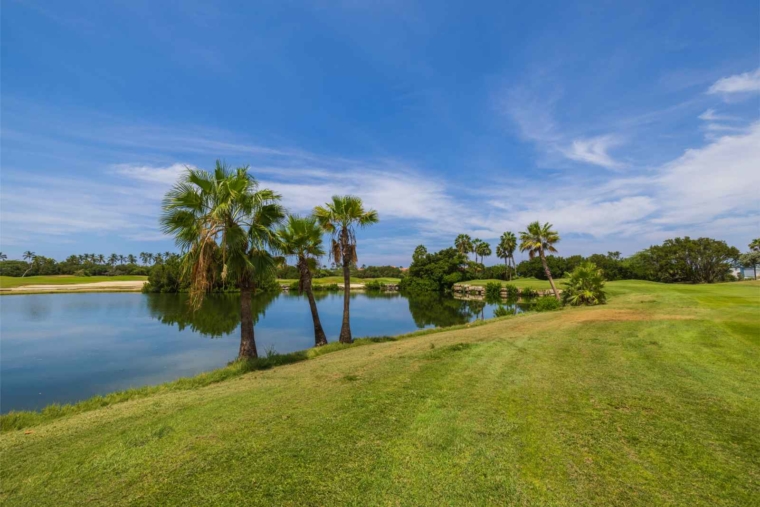 28 Best Things to Do in Aruba In 2024 - The Planet D