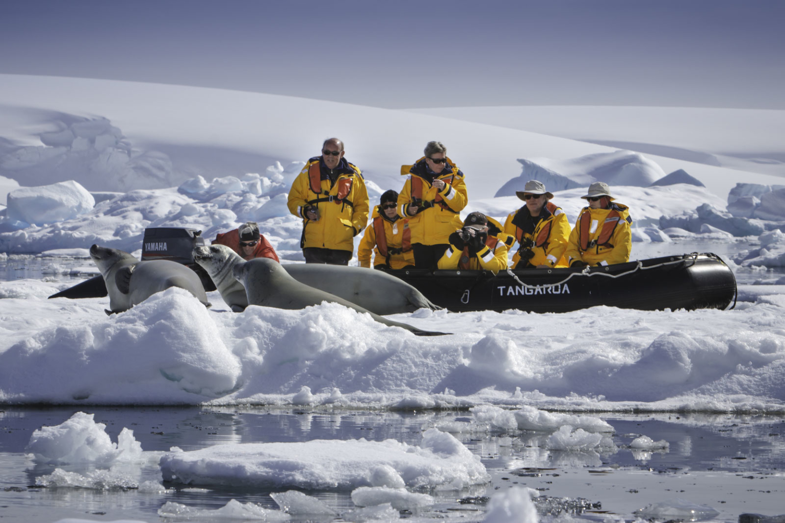 19 Best Things to Do in Antarctica In 2024 - The Planet D