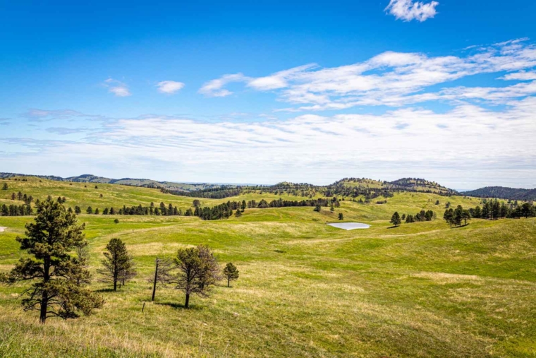 15 Best Things to Do in Custer State Park - The Planet D