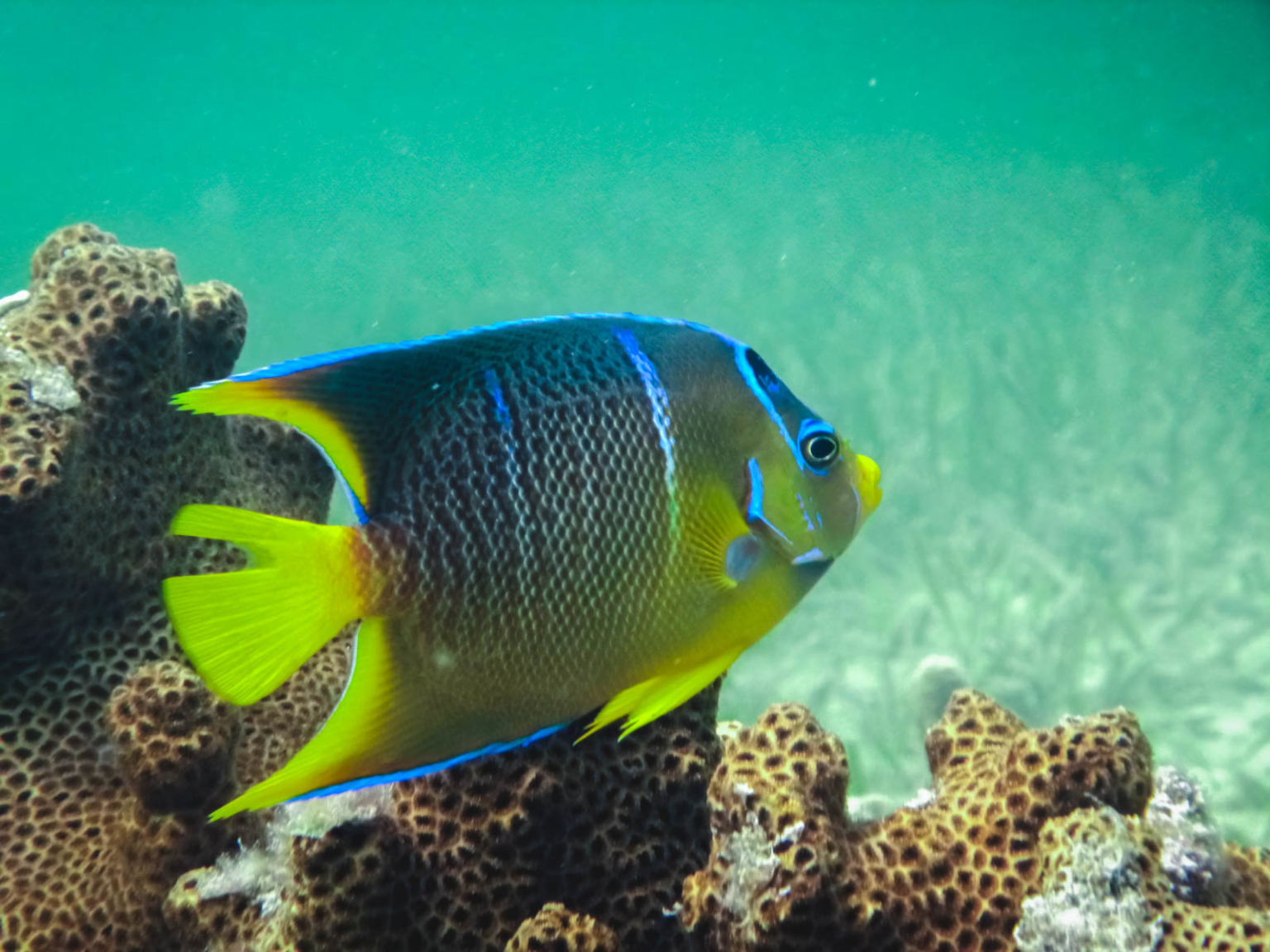 23 Best Things to Do in Key Largo, Florida in 2024 - The Planet D