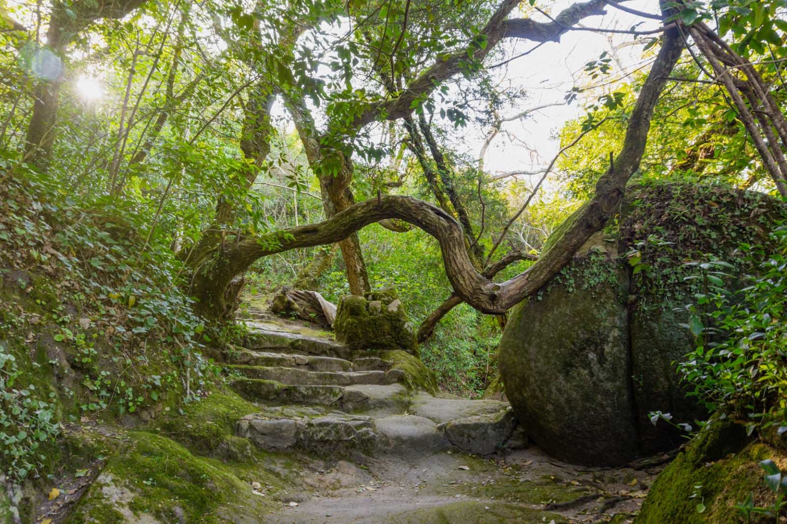 14 Best Things to Do in Sintra, Portugal in 2024 - The Planet D