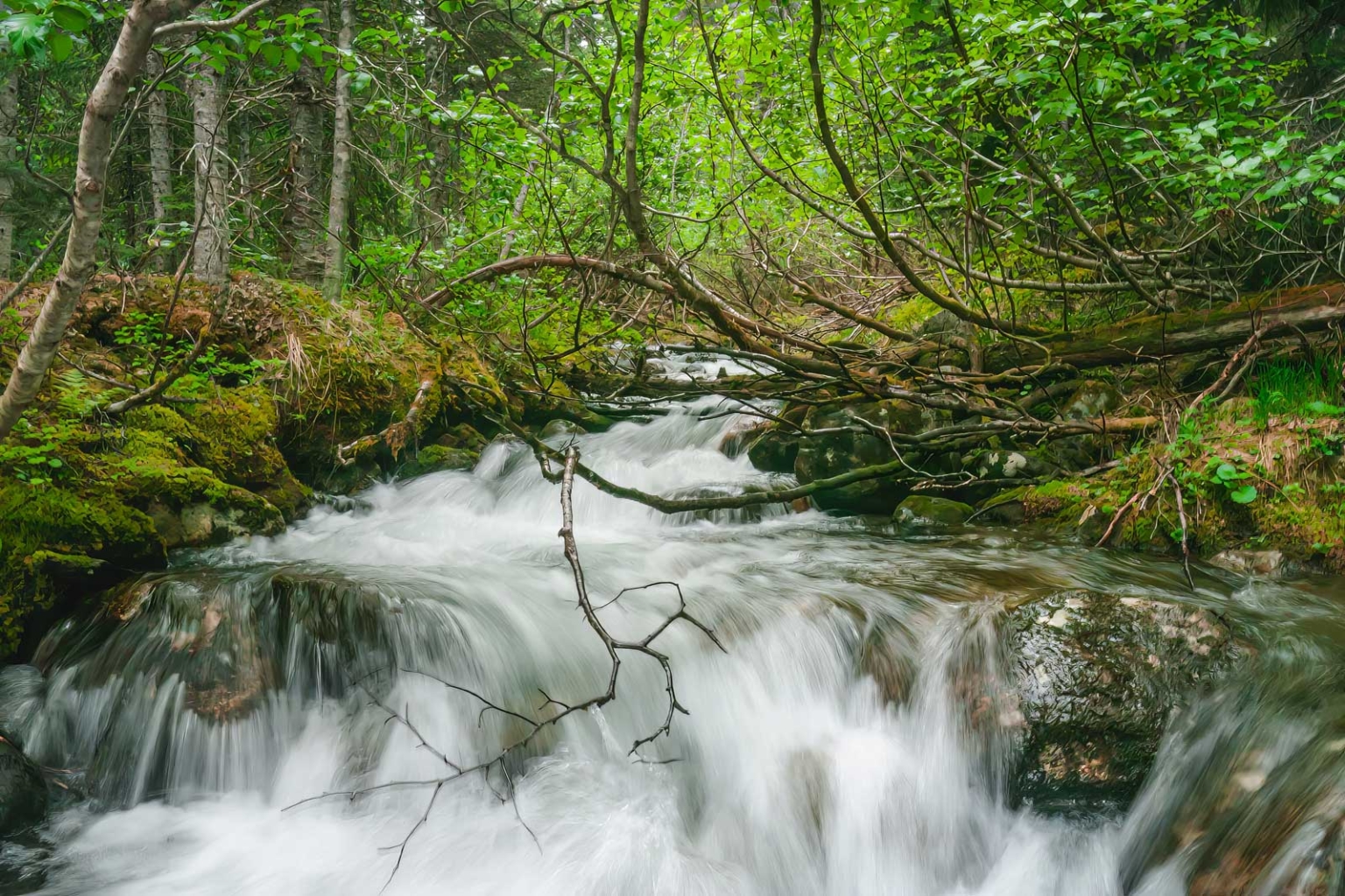 19 Best Things To Do in Skagway, Alaska - The Planet D