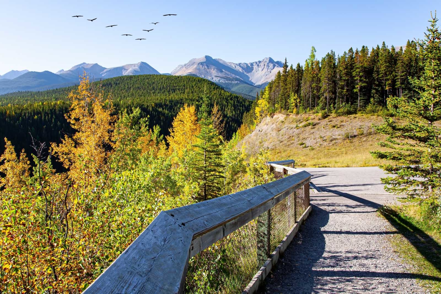 17 Best Things to Do in Jasper, Alberta - The Planet D
