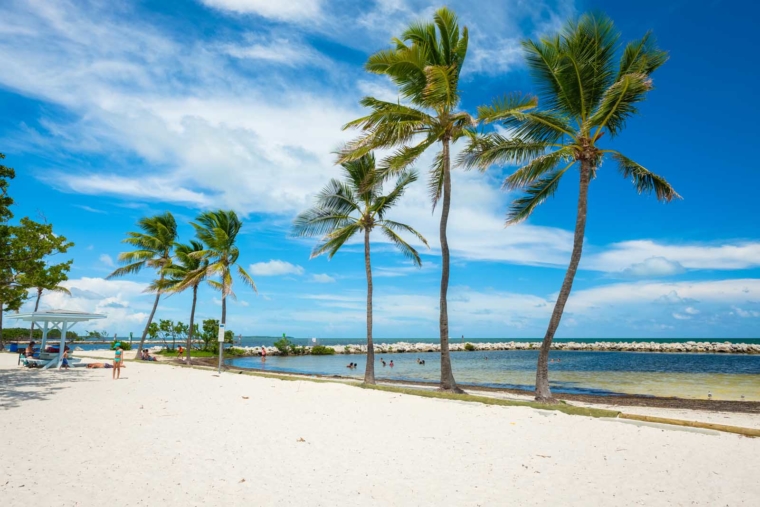 23 Best Things to Do in Key Largo, Florida in 2024 - The Planet D