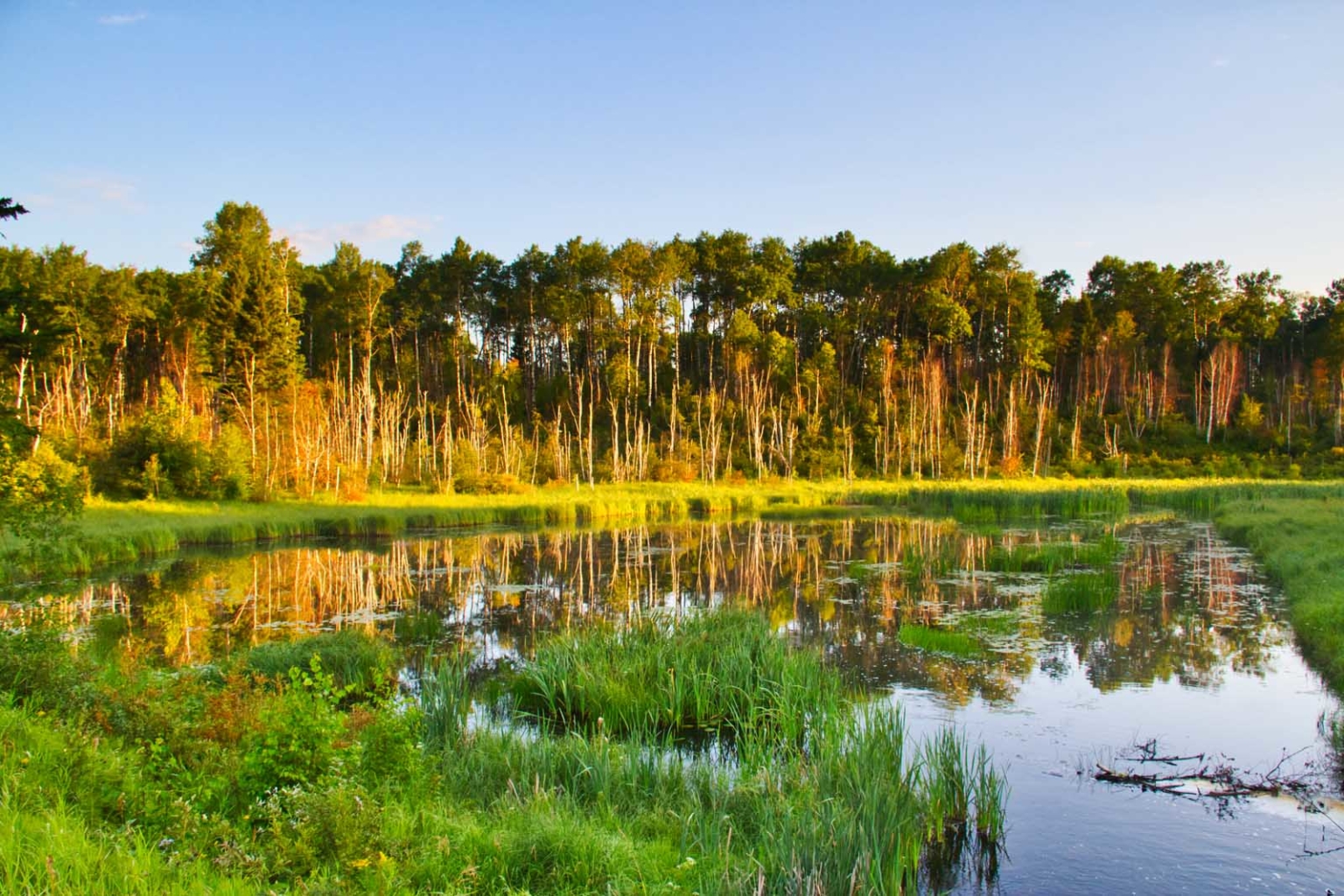 23 Best Things to Do in Saskatoon, Saskatchewan - The Planet D