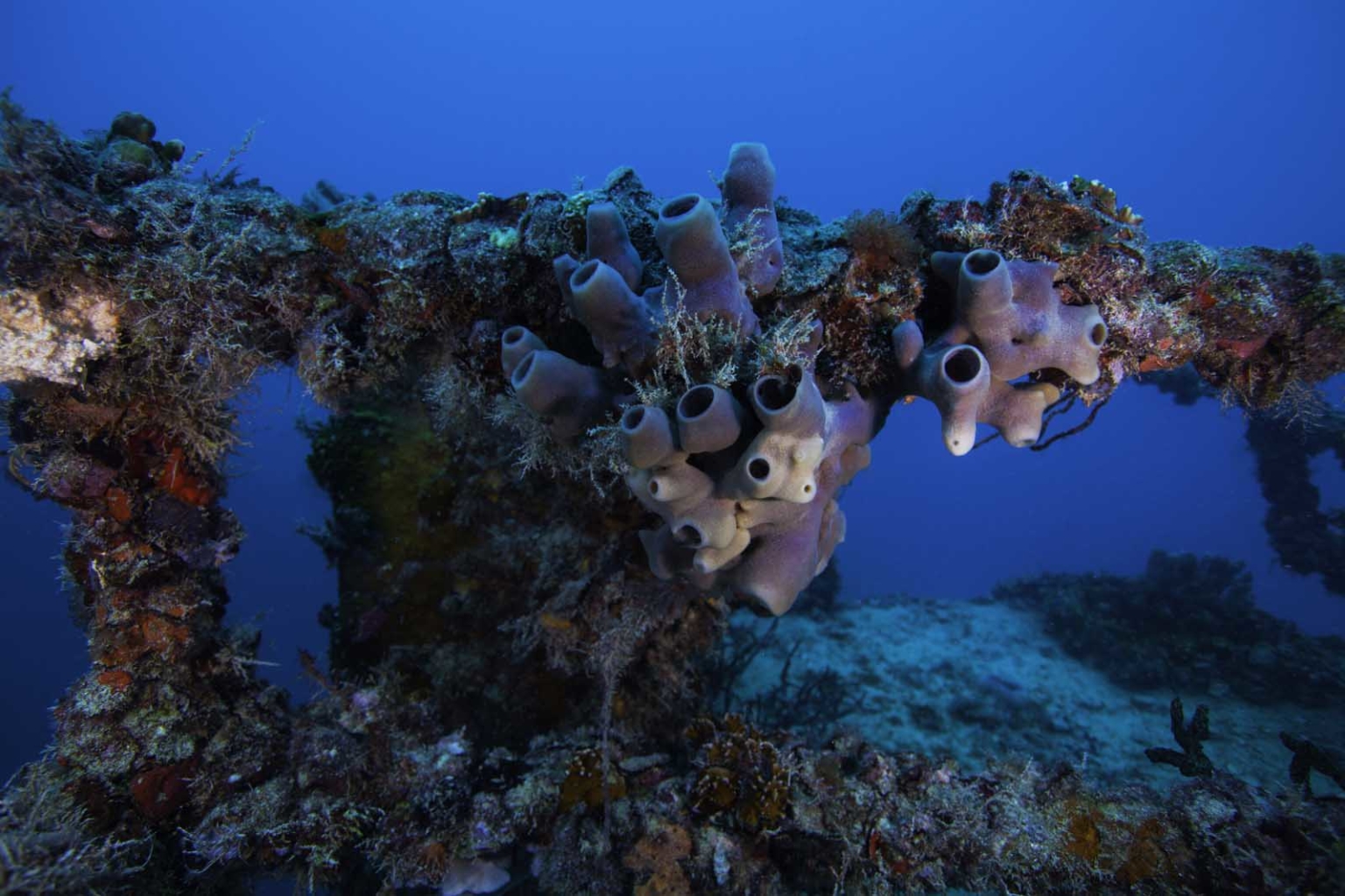 23 Best Things to Do in Key Largo, Florida in 2024 - The Planet D