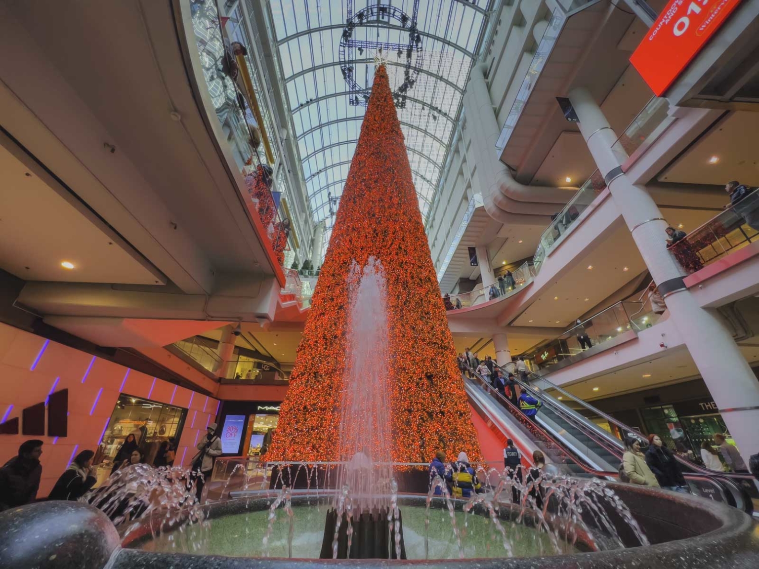 Best Christmas Events in Toronto: A Festive Guide - The Planet D