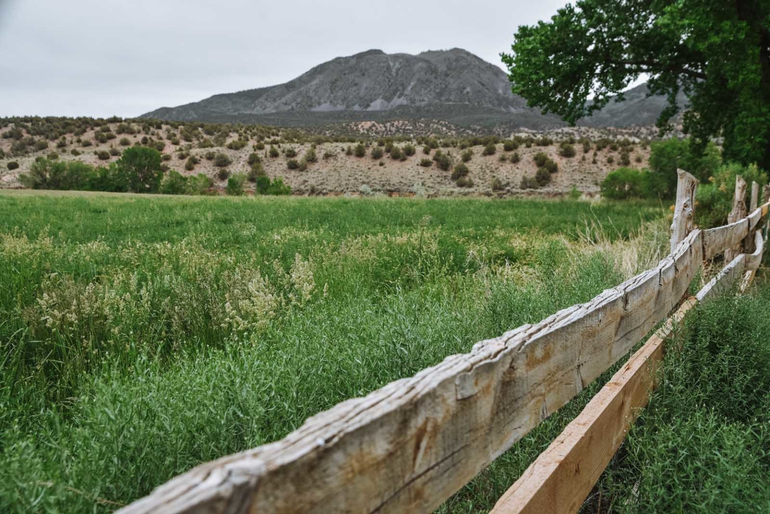 12 Best Colorado National Parks & Monuments To Visit in 2024 - The Planet D