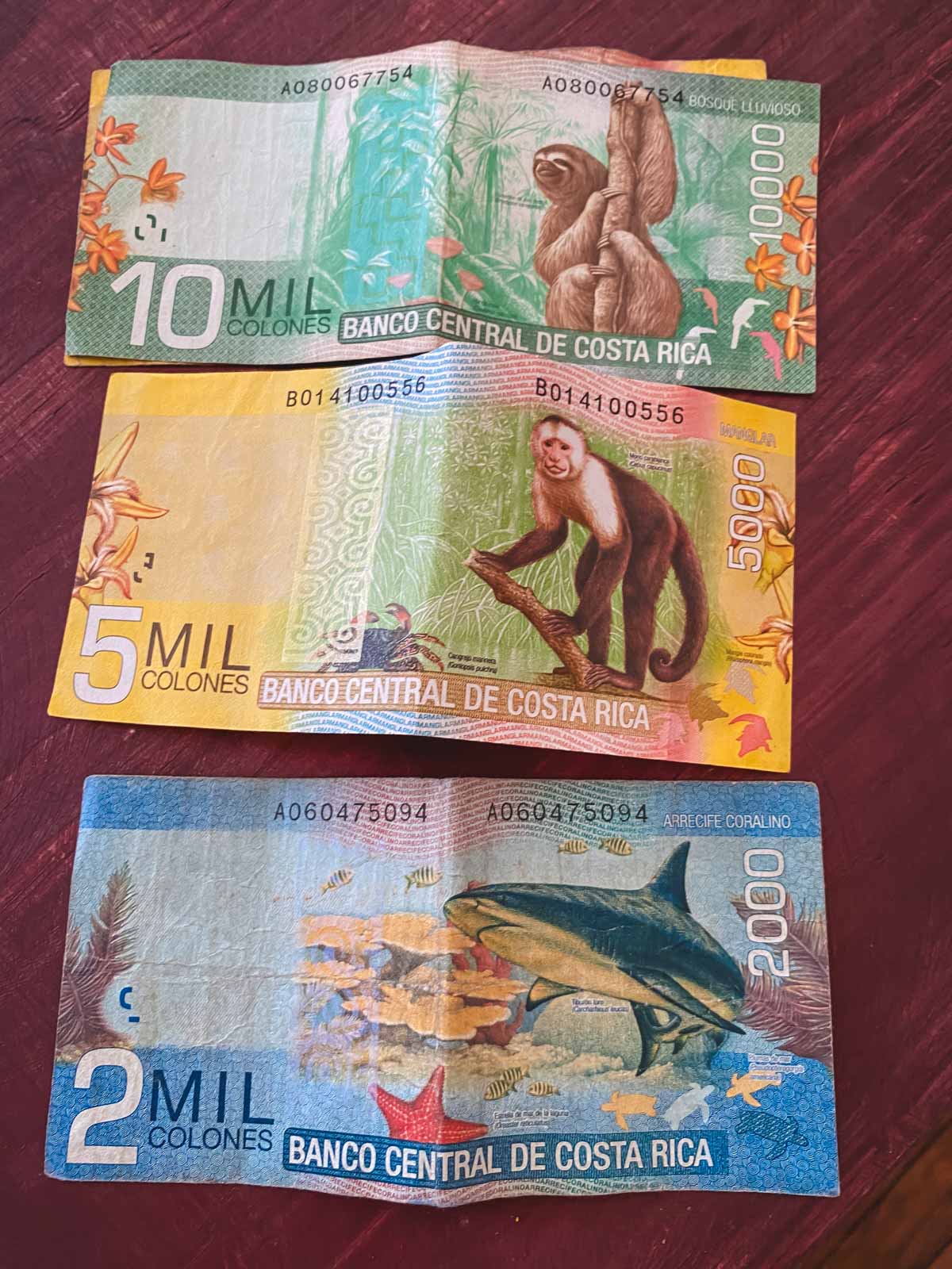 Is Costa Rica Expensive? Actual Costs To Visit In 2024 - GgNTravel