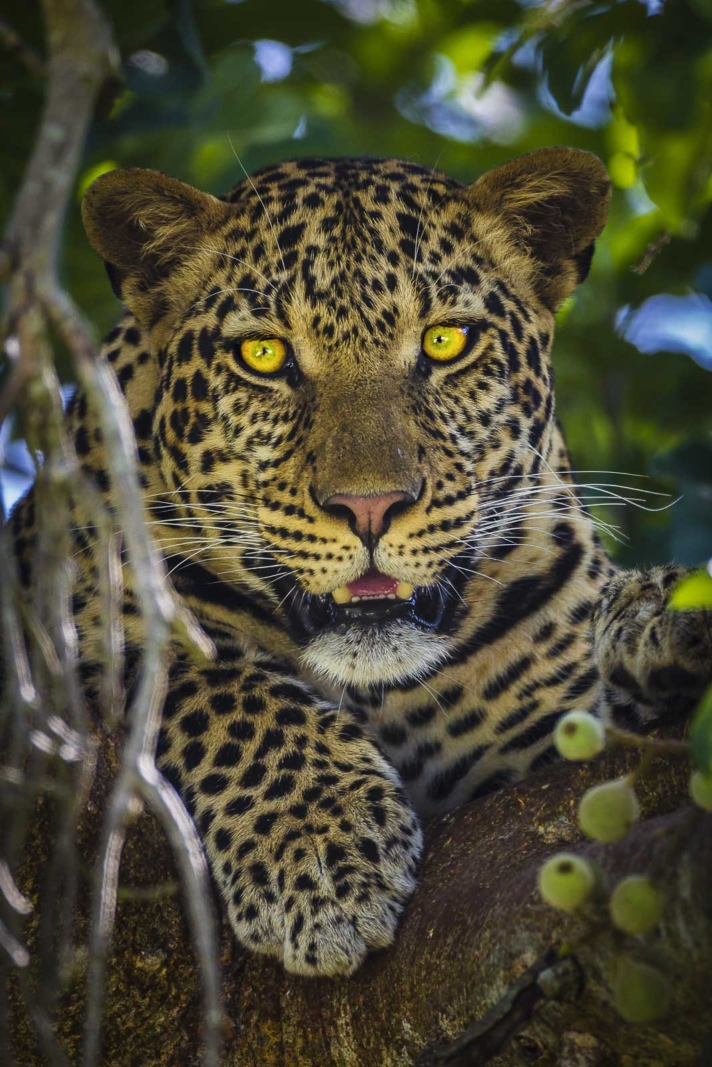 Happy Earth Day - Celebrating Animals of the World in Photos | The Planet D