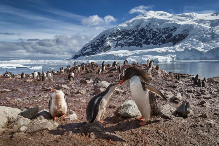 Happy Earth Day - Celebrating Animals of the World in Photos | The Planet D