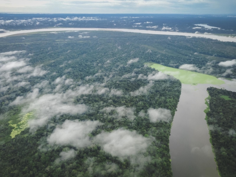 Surprising and Fun Facts About the Amazon River | The Planet D
