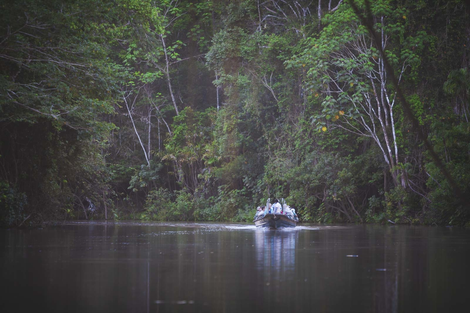 Surprising and Fun Facts About the Amazon River | The Planet D