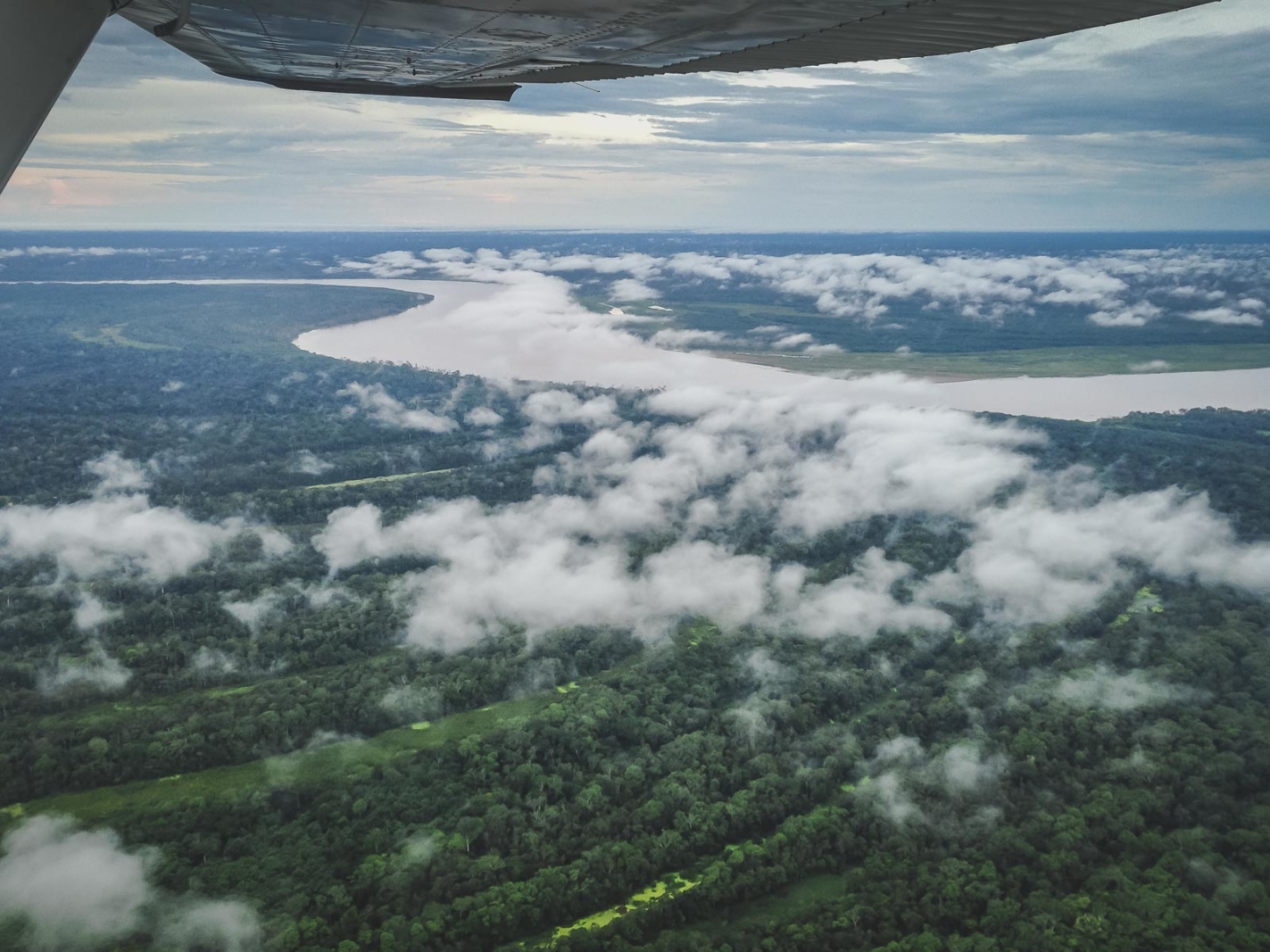 Surprising and Fun Facts About the Amazon River | The Planet D