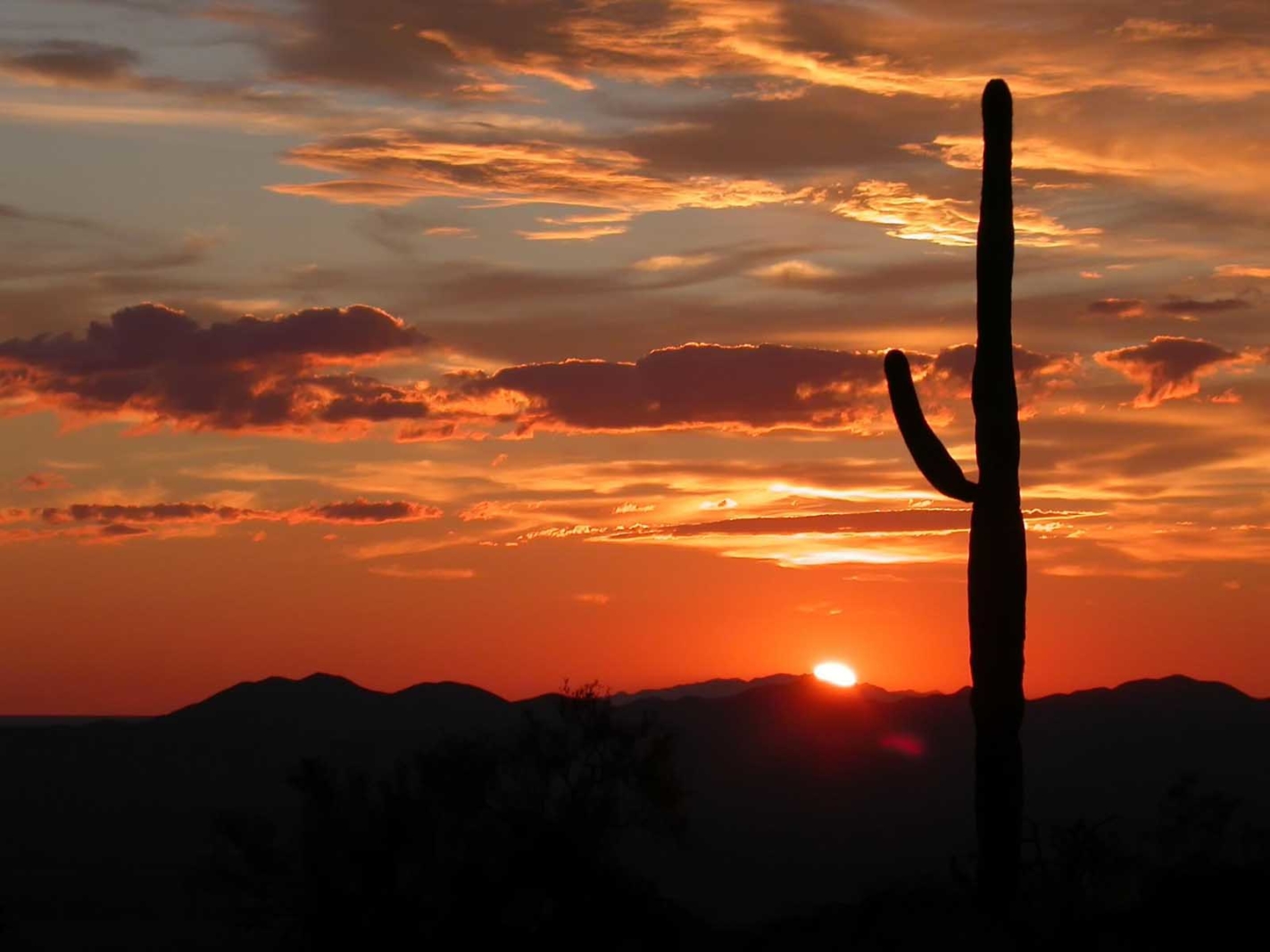 17 Interesting and Fun Facts About Arizona - The Planet D
