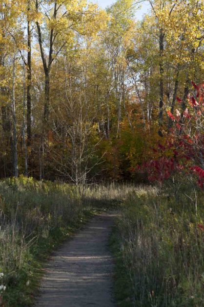 19 of the Best Ontario Hikes - The Planet D