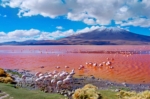 24 Fascinating Facts About Bolivia You Should Know In 2024 - The Planet D