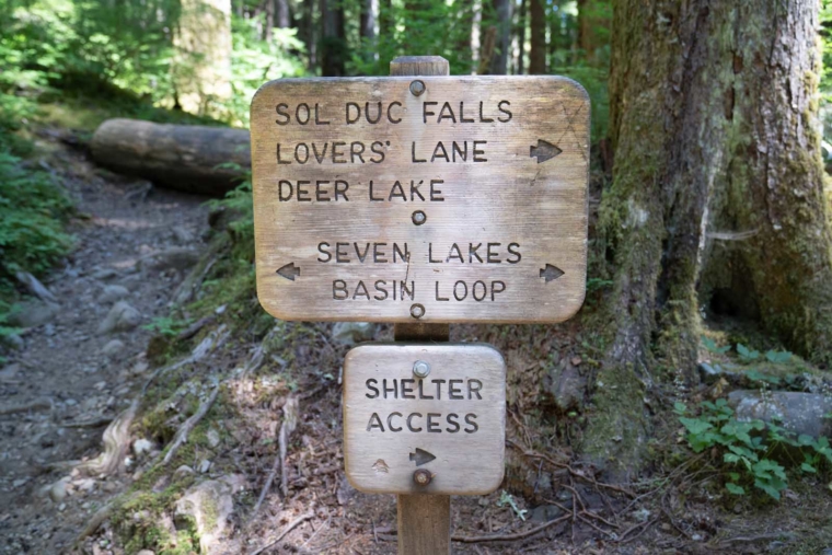 19 Best Hikes in Olympic National Park For 2024 - The Planet D