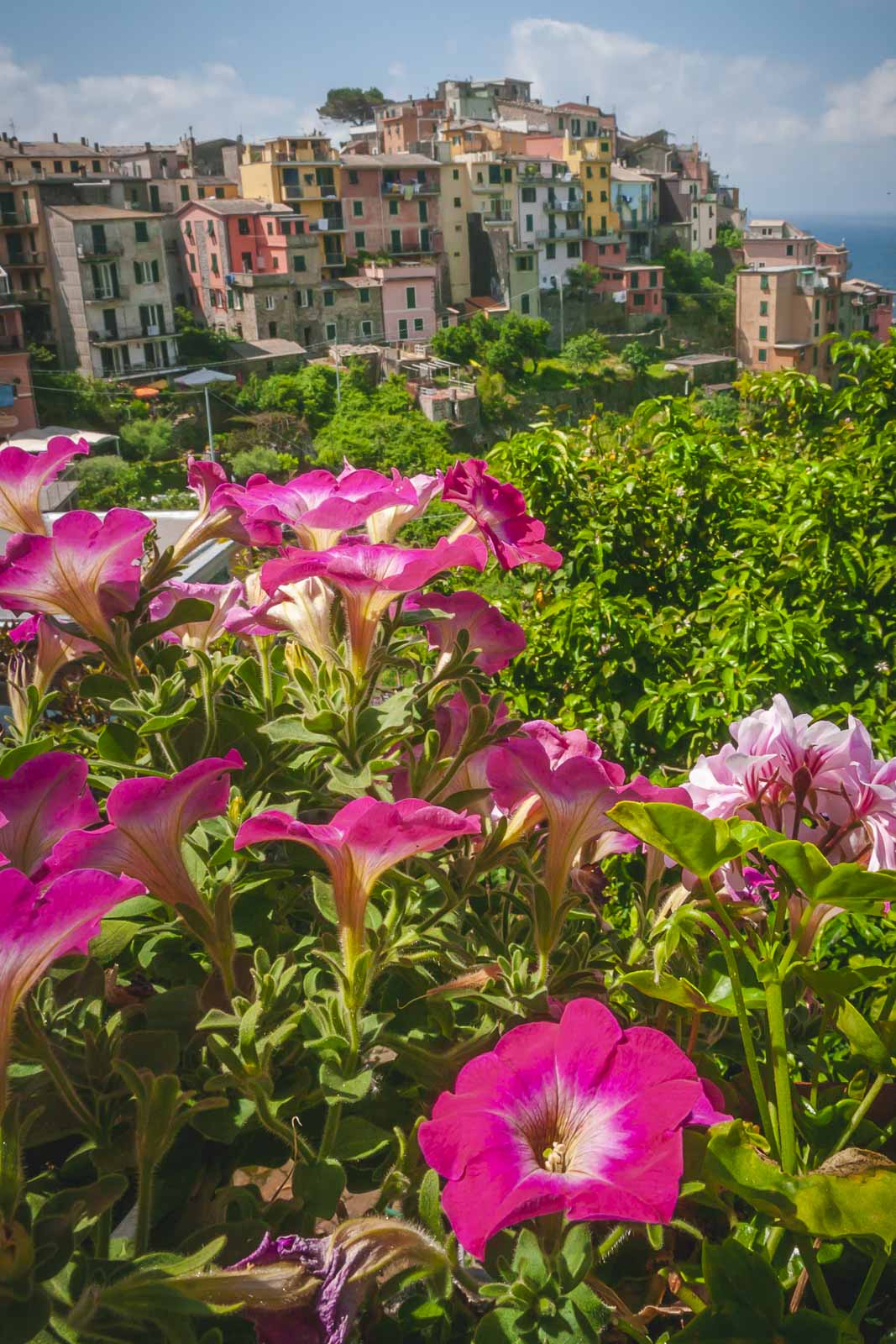 Hiking in Cinque Terre - Complete Guide Italy's 5 Villages - Traveling ...