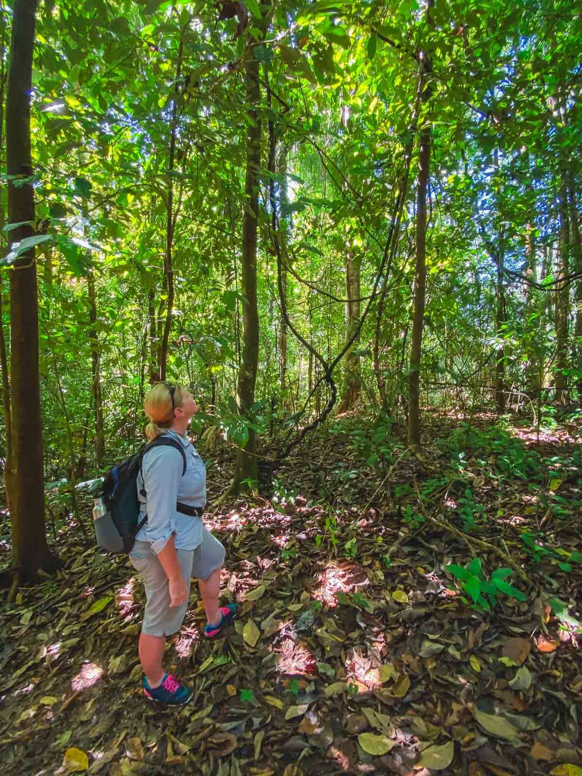 Is Costa Rica Expensive? Actual Costs To Visit In 2024 - World traveler ...