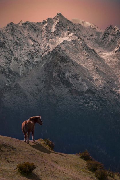 10 Landscape Photography Tips Guaranteed to Improve Your Photos