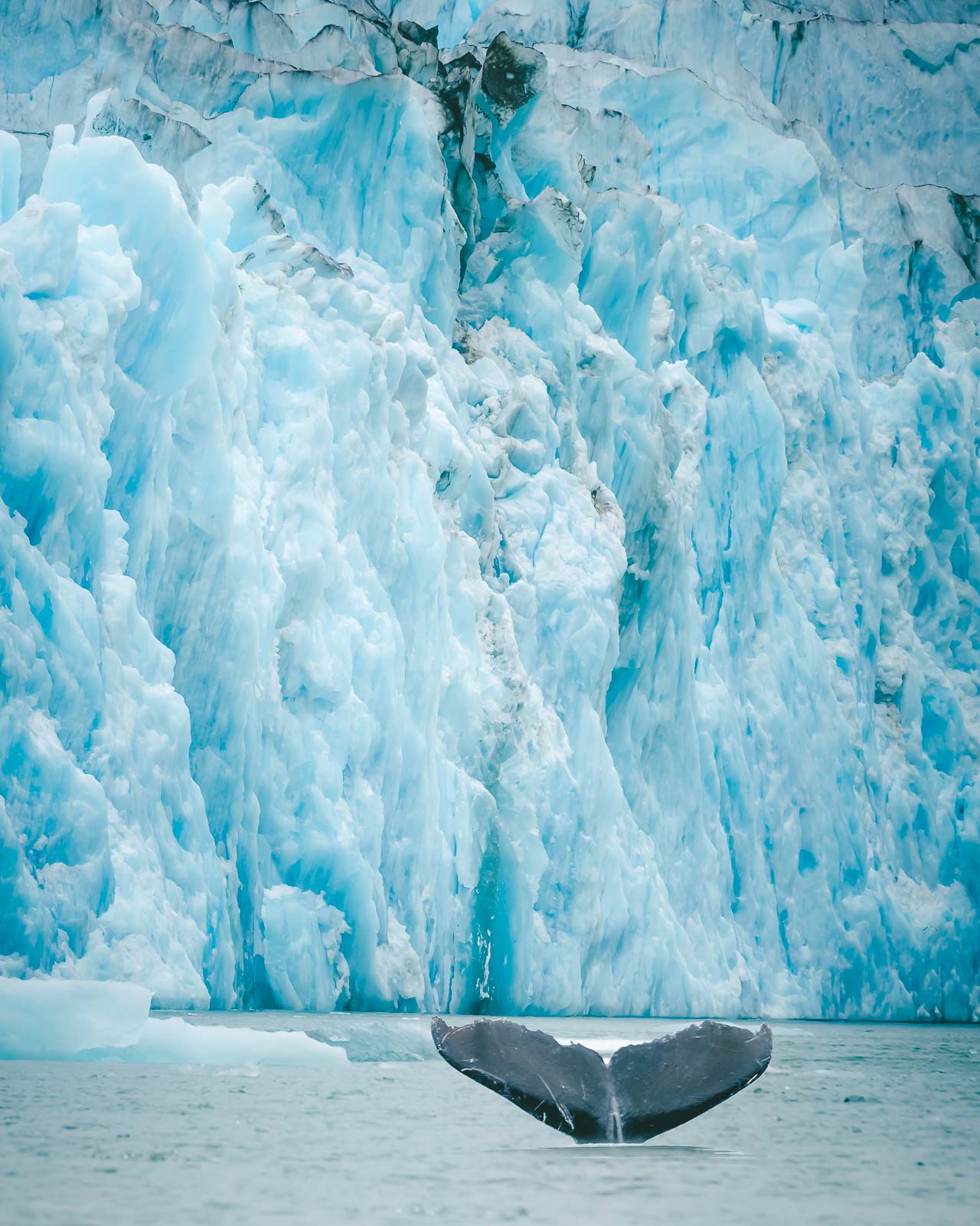 16 Fun and Interesting Facts About Alaska - The Planet D