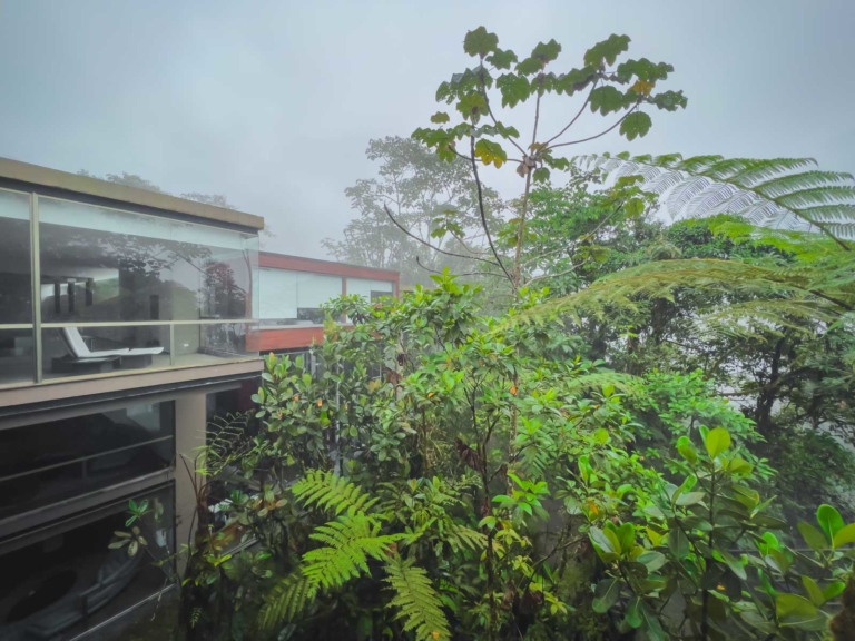 Mashpi Lodge - Luxury and Adventure in the Cloud Forest of Ecuador ...