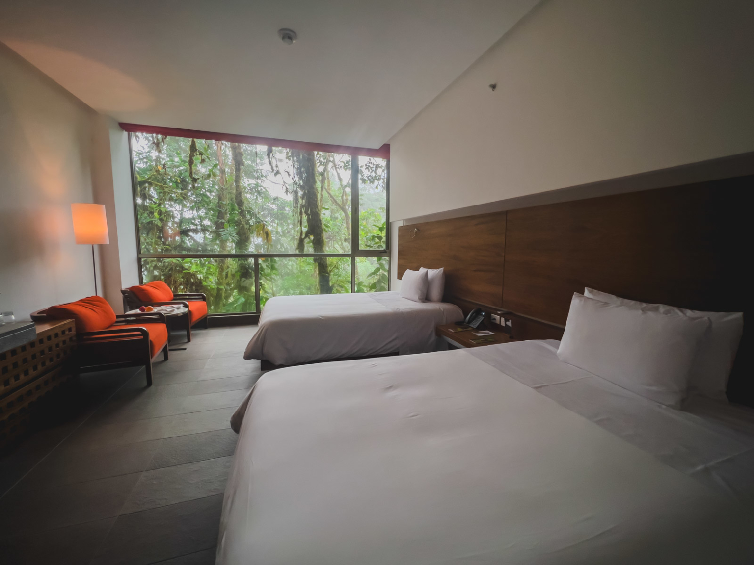 Mashpi Lodge - Luxury and Adventure in the Cloud Forest of Ecuador ...