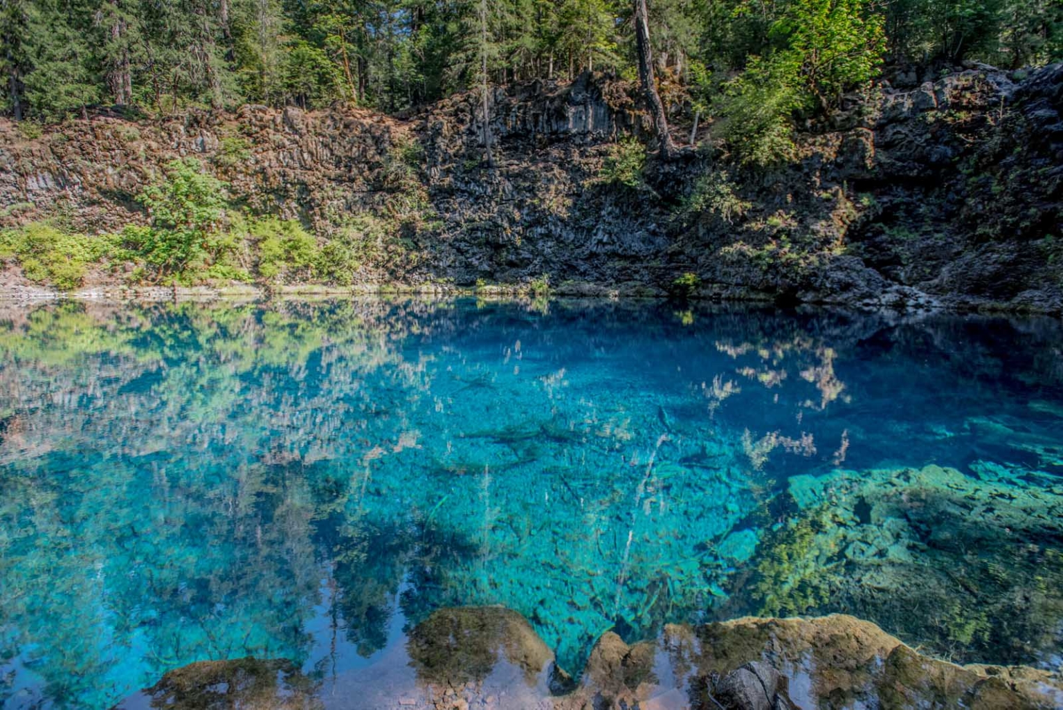 12 Best Hikes in Oregon That will Blow Your Mind | The Planet D